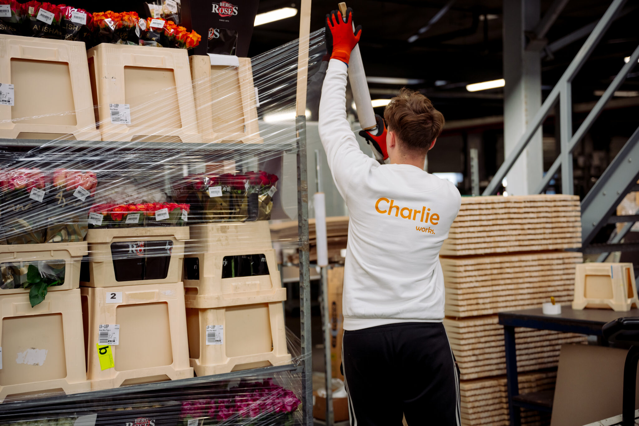 Het salaris van een productiemedewerker in Nederland - Charlie works