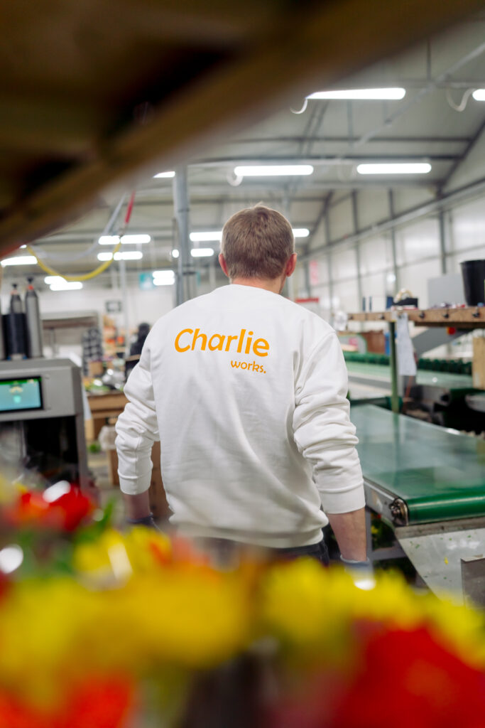 Werken in de logistiek of productie: ontdek de voordelen en je kansen ...