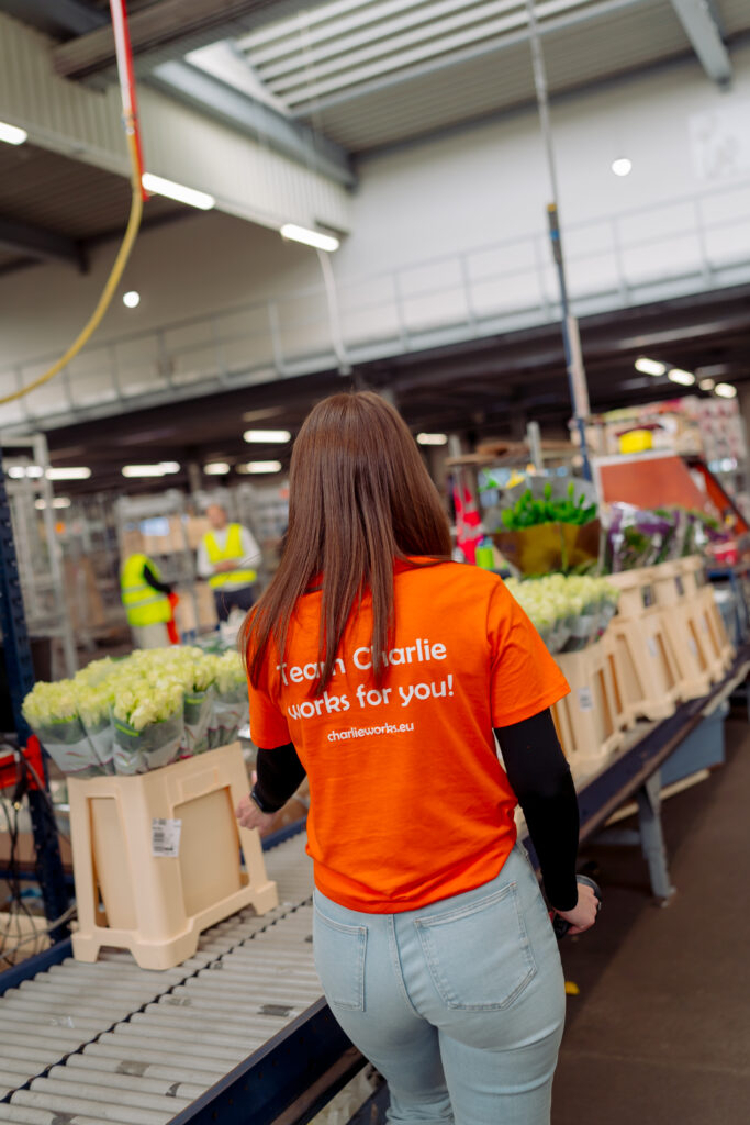 Wat is een DigiD en heb je die nodig? - Charlie works